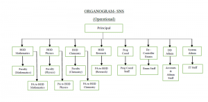 Organizational Structure SNS - NUST School of Natural Sciences